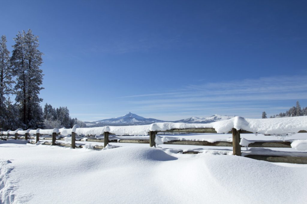 Winter Closure 2023/24 - The Shipwreck Centre & Maritime Museum